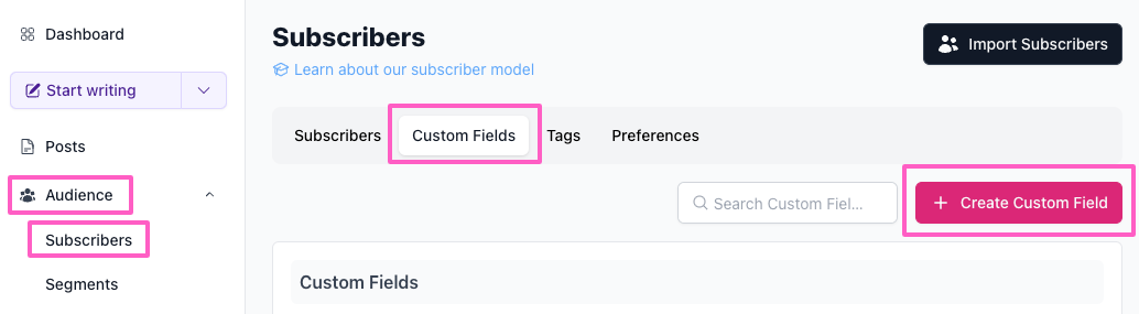 Using custom fields with your subscribers - Knowledge Base - beehiiv